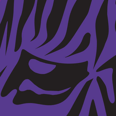 Katya Shares Some Zebra Magic – smartCRUTCH USA